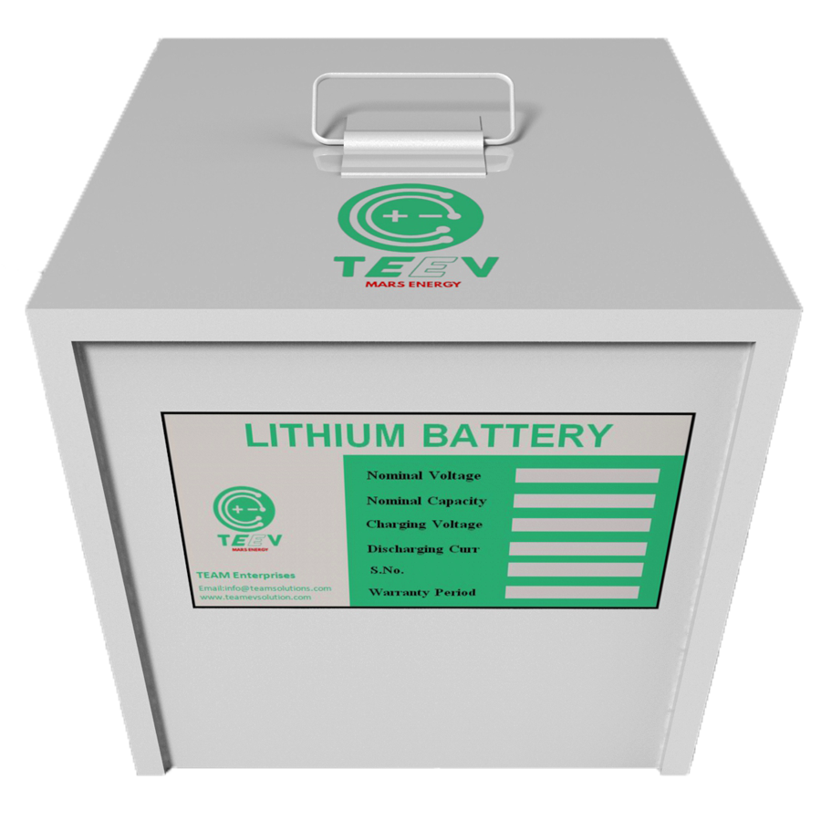 TEEV 48V 30AH Lithium Ferro Phosphate (Lifepo4) E-Bike Battery